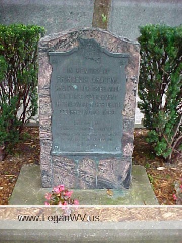 Battle of the Island - Logan WV History and Nostalgia