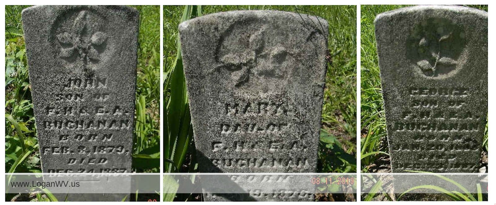 Buchanan Family History and Tragedy - Logan County, WV History